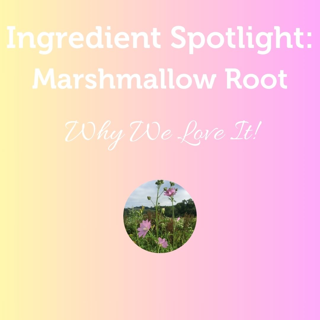 The Power of Marshmallow Root in Hair and Skin Care – flourish beauty lab